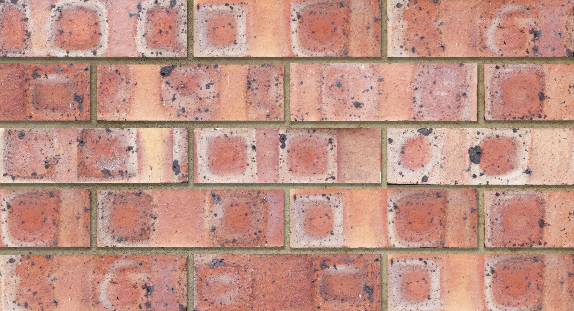 Home | Federale Stene | Clay Bricks | Middelburg | Mpumalanga